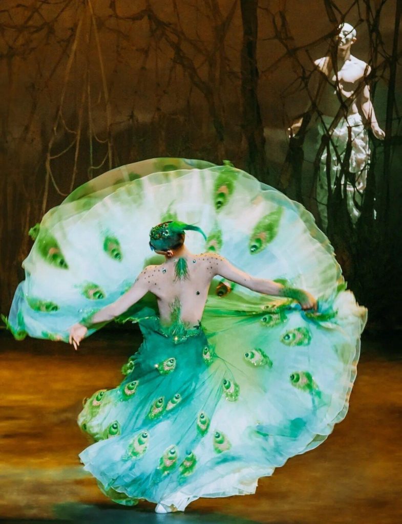 The Peacock Dance: A Vibrant Symbol of Dai Culture – Daily Feedly