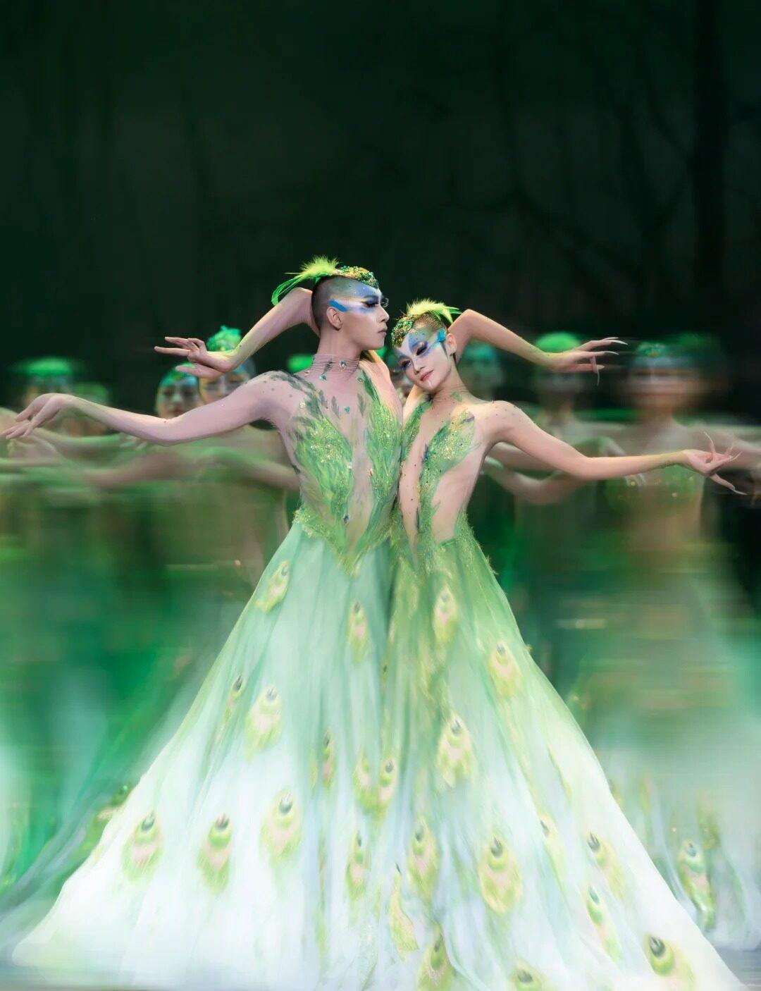 The Peacock Dance: A Vibrant Symbol of Dai Culture – Daily Feedly