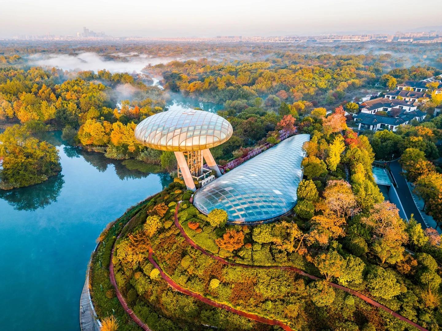 Xixi Wetland: Hangzhou’s Hidden Ecological Gem – Daily Feedly